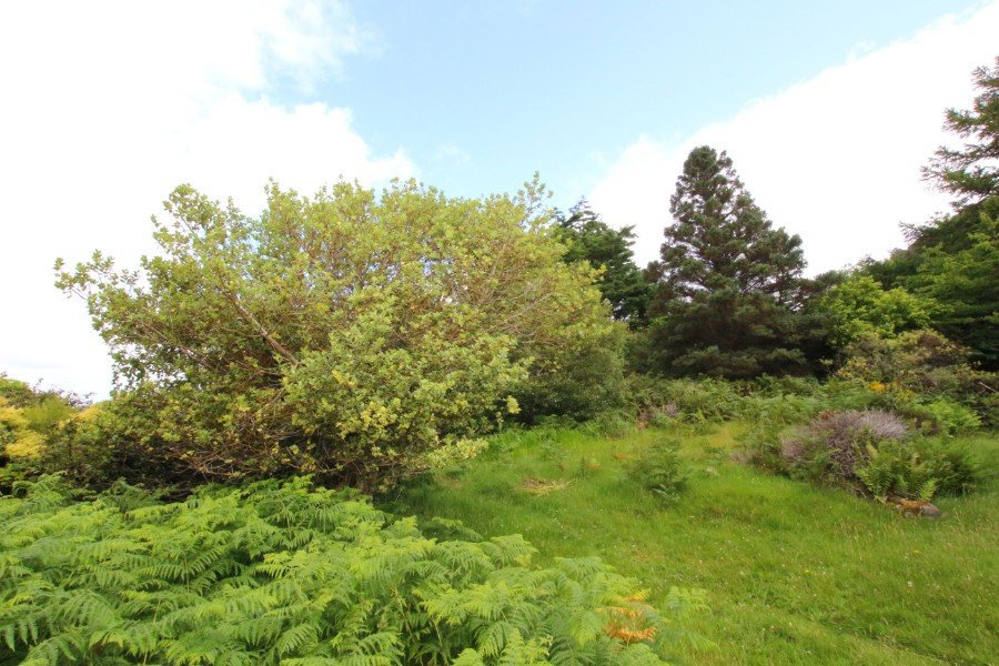 Rhu na Bidh, Shieldaig, Strathcarron, Ross & Cromarty, IV54 8XN | HSPC